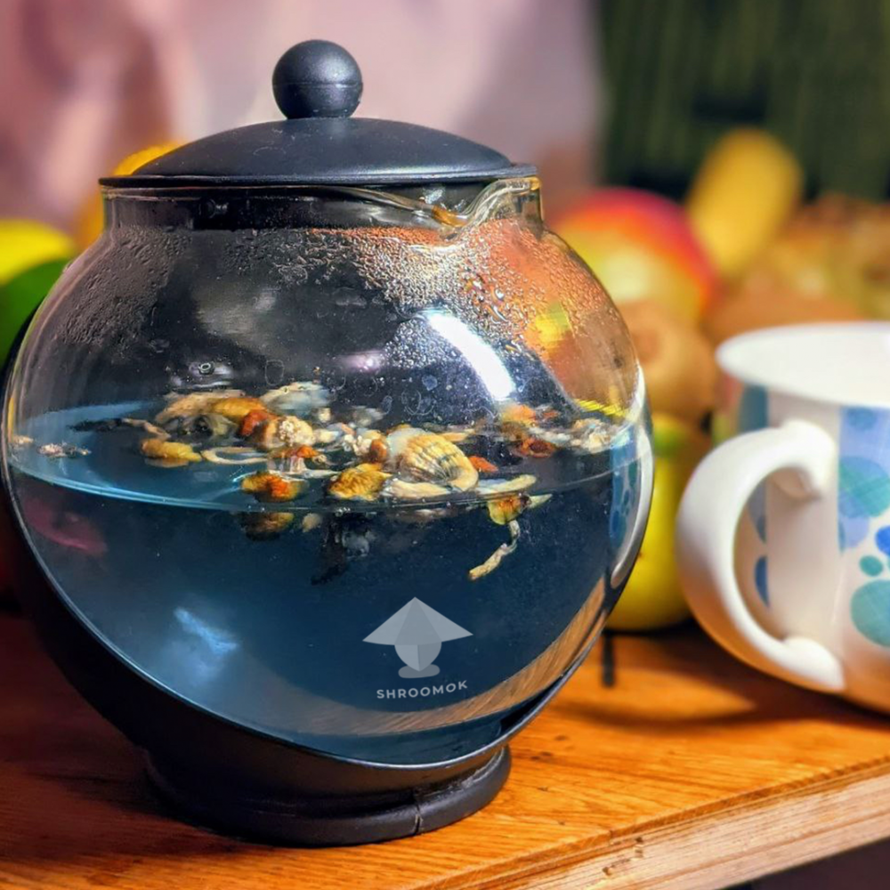 Magic mushroom tea