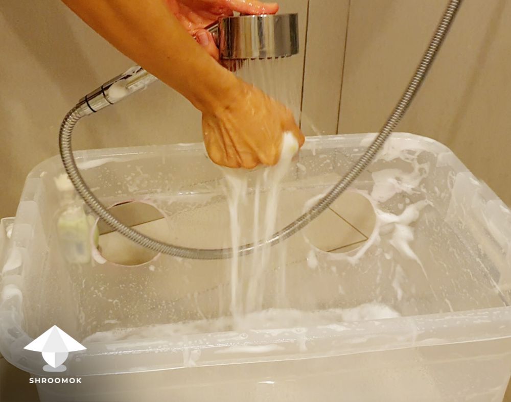 Still Air Box for Mycology