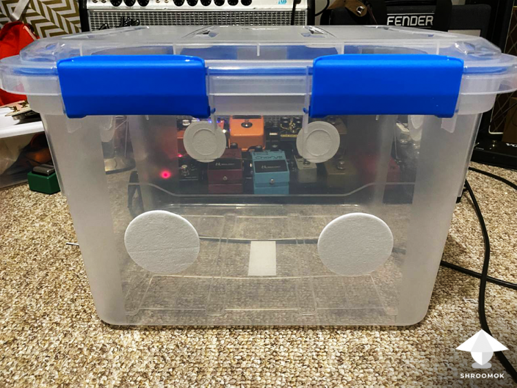 DIY Monotub for Mushroom growing