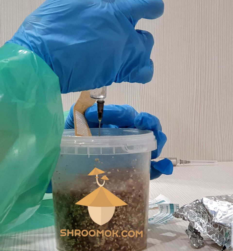 Inoculation without glove box