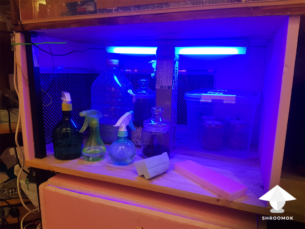 How to build automatic incubation chamber for mushrooms