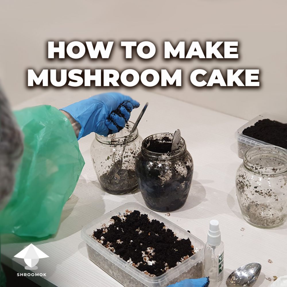 Making mushroom cake, spawn to bulk, and casing
