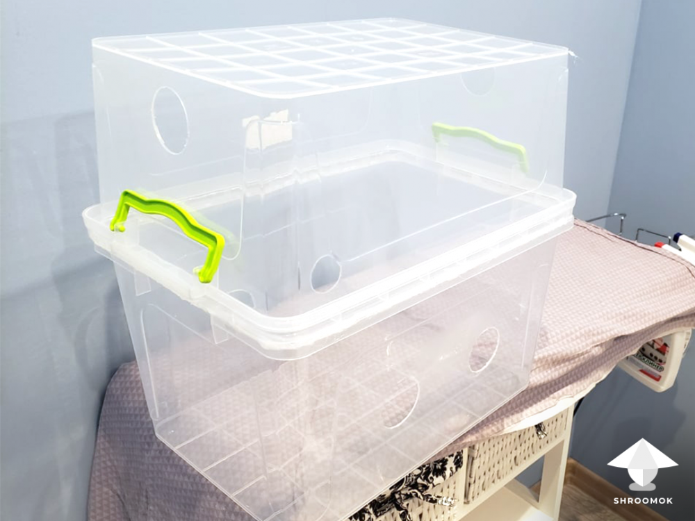 DIY Monotub for Mushroom growing