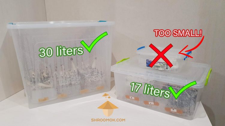 DIY Grow Box for Magic mushrooms. Fruiting conditions
