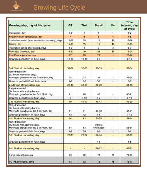 Magic mushrooms growing statistics with charts