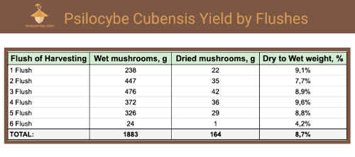 Magic mushrooms growing statistics with charts