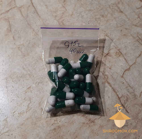 Psilocybine magic mushroom capsules for microdosing