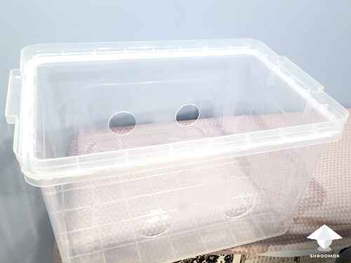 Forget Monotub Kit. DIY. How to make Monotub for Mushrooms by your own