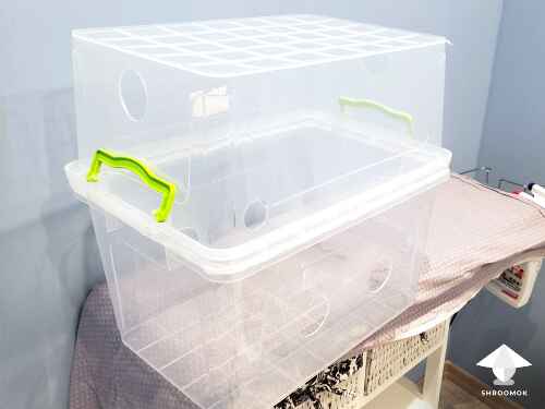 Forget Monotub Kit. DIY. How to make Monotub for Mushrooms by your own